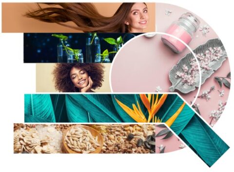 About Us - AQIA Química Inovativa